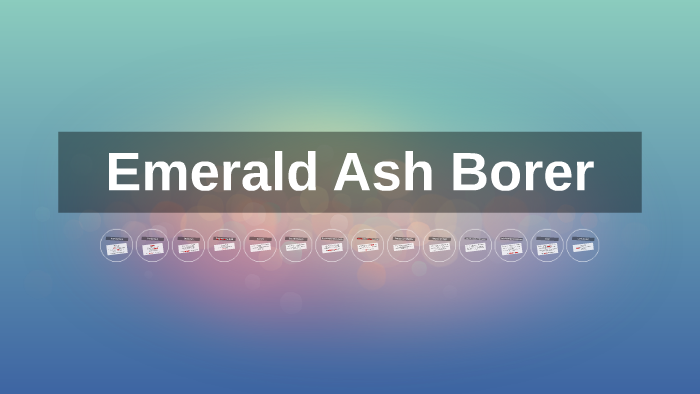 Emerald Ash Borer by Emma Kane on Prezi