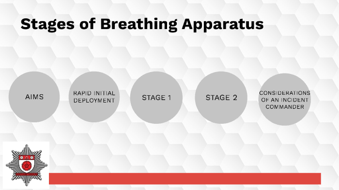 BA Stages of Entry by Lauren Fitzgerald on Prezi
