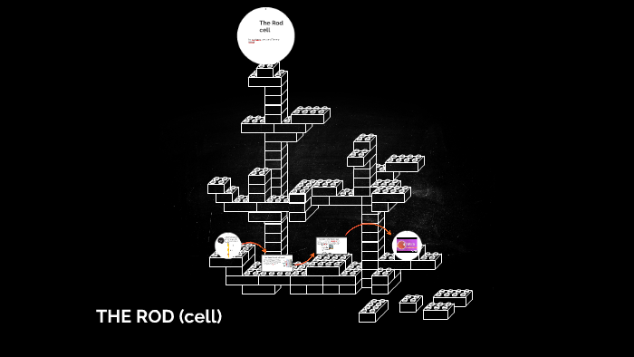 THE ROD (cell) by Addy Jarvis on Prezi