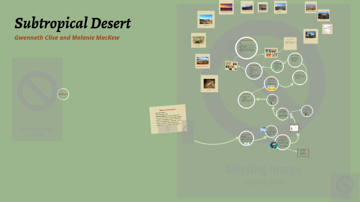 Subtropical Desert by Gwen Clise on Prezi