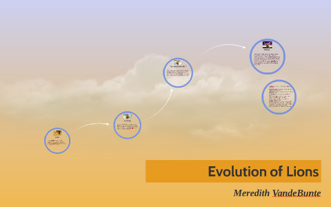 Evolution of Lions by Mere VandeBunte on Prezi