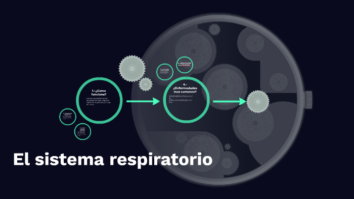 El sistema respiratorio by Raquel Melgar Ruvalcaba