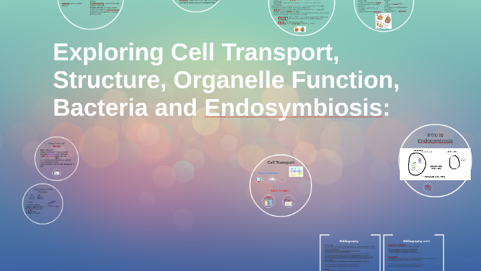 Exploring Cell Transport, Structure, Organelle Function, Bac by Julia ...