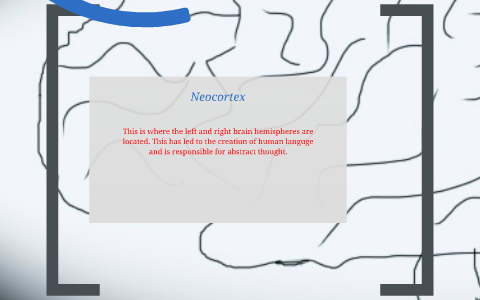 The Brain by Travis Walden on Prezi