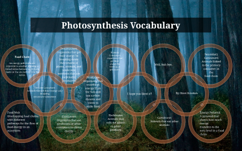 Photosynthesis Vocabulary by Brett Rowden on Prezi