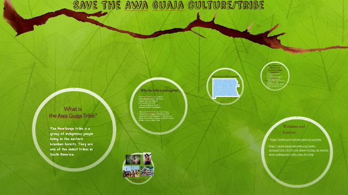 Save the Awa Guaja Culture/Tribe by valentina hortua on Prezi