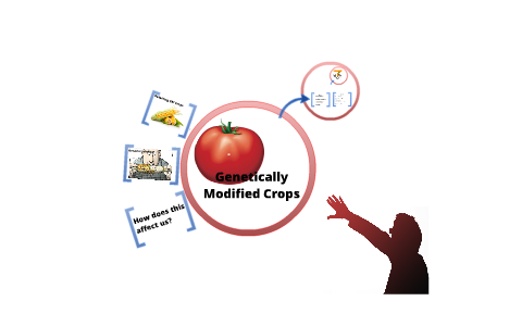 GMOs by Ellysha Sunga on Prezi