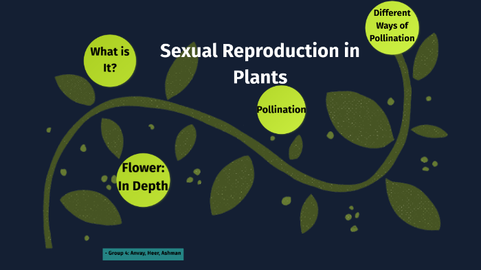 Biology - Sexual Reproduction in plants by Anvay Patel on Prezi