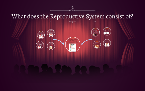 What does the Reproductive System consist of? by Megan Frisbie on Prezi