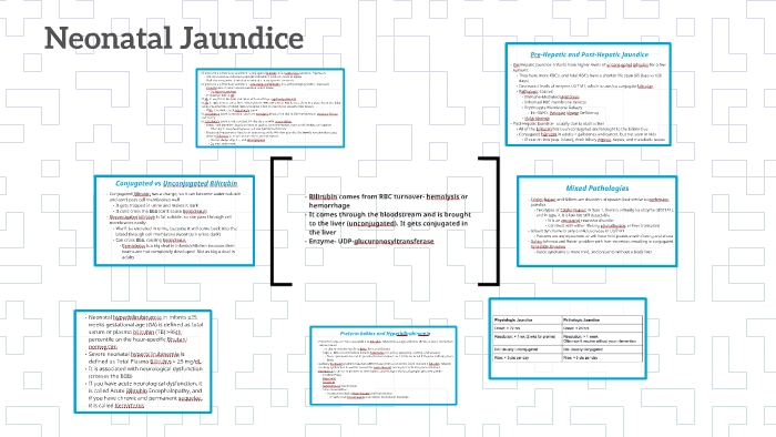 Neonatal Jaundice by on Prezi
