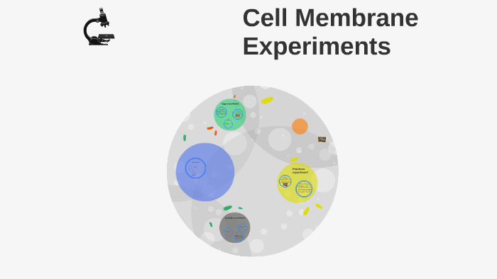 Cell Membranes Experiments by natalia molina osorio on Prezi