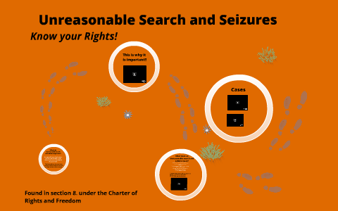Unreasonable search and seizures by Carine Williams