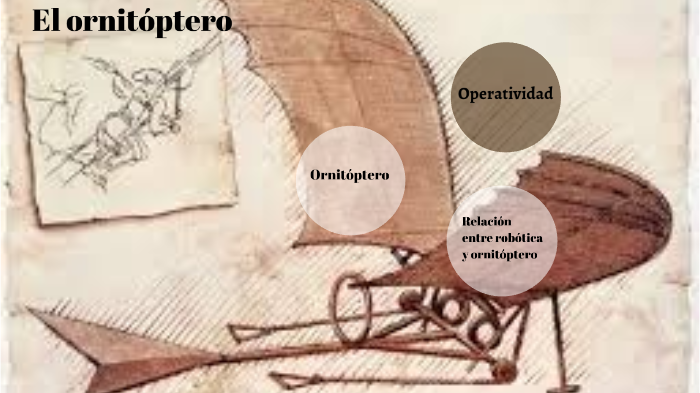 El ornitóptero by Luisa Florez on Prezi