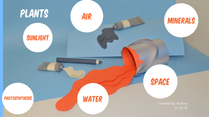 plant needs by Audrey Chiang on Prezi