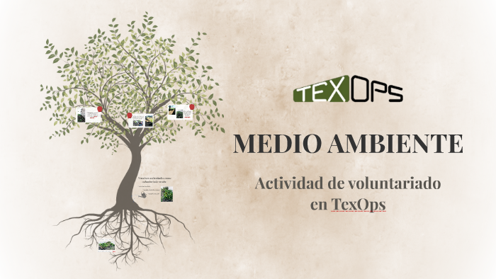 MEDIO AMBIENTE by Textiles Opico on Prezi