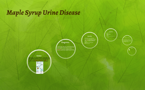 Maple Syrup Urine Disease by julio Gutierrez on Prezi