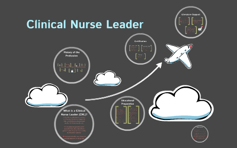 Clinical Nurse Leader by Megan Novak