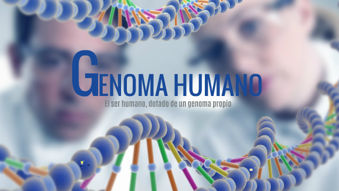 GENOMA HUMANO by Trabajos lindos on Prezi