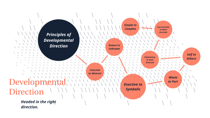 Developmental Direction by Kimberly Penland on Prezi