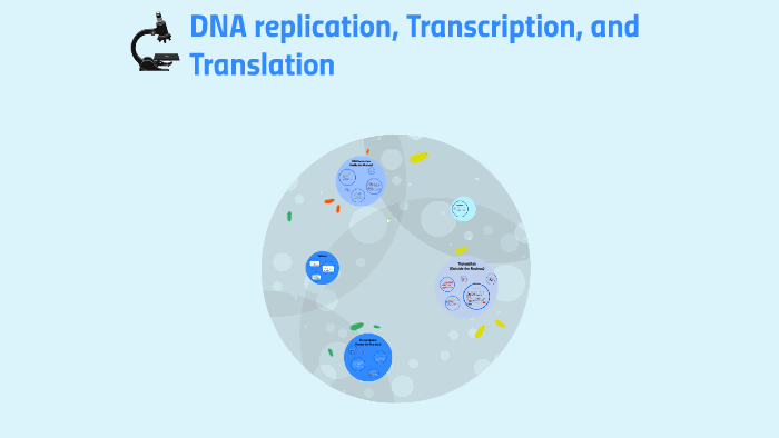 DNA replication, Transcription, and translation by a lyles on Prezi