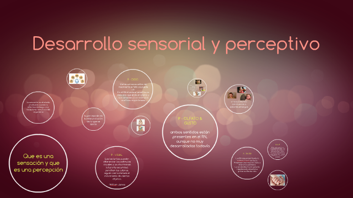 Desarrollo sensorial y perceptivo by Rt Leal on Prezi