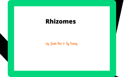 Rhizomes by Hli Vaj on Prezi