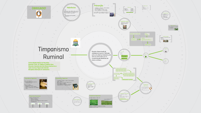 Timpanismo Ruminal by on Prezi
