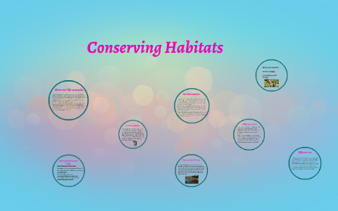 Conserving habitats by Kelly Quade on Prezi