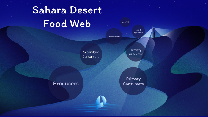 Sahara Desert Food Chain by Autumn Rinehart on Prezi