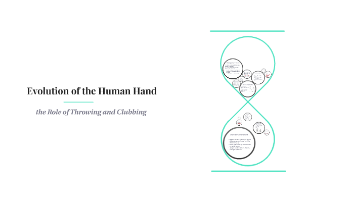 Evolution of the Human Hand by M Alexander on Prezi