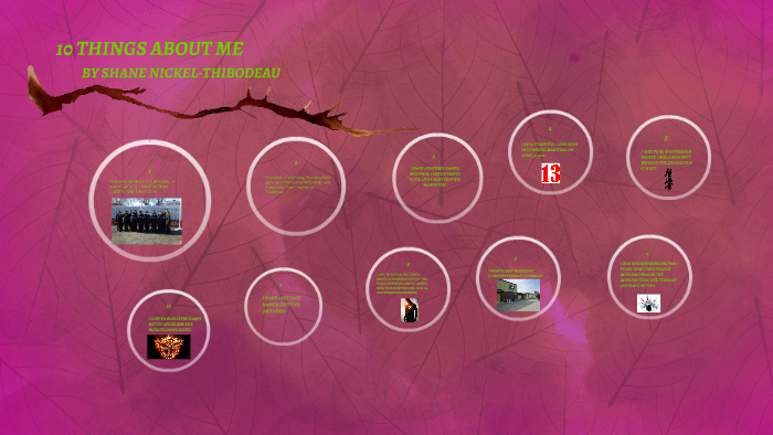 10 THINGS ABOUT ME by Shane Nickel-Thibodeau on Prezi
