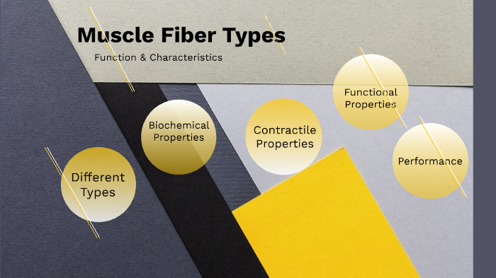 Muscle Fiber Types by Melissa Kwiatkowski on Prezi