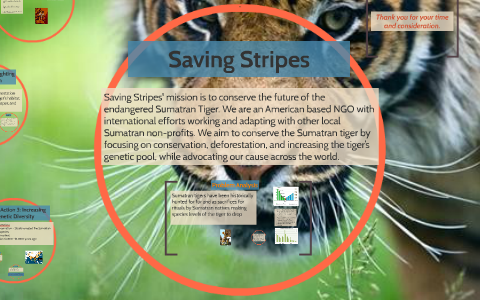 Saving Stripes by on Prezi