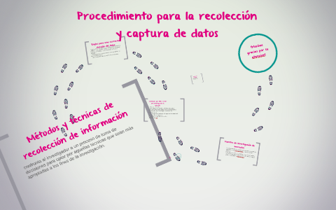 Procedimiento para la recolección y captura de datos by Jenni Poroj on ...