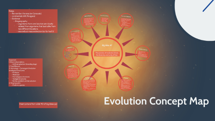 Evolution Concept Map by Divyaa V on Prezi