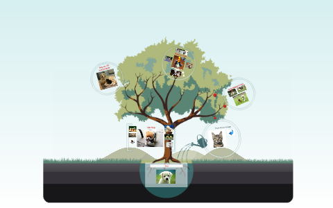 Dogs by kaylee Harp on Prezi
