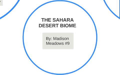 THE SAHARA DESERT BIOME by madison meadows on Prezi