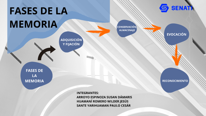 FASES DE LA MEMORIA by Wilder Huamani on Prezi