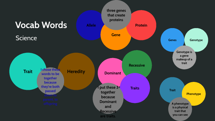 Vocabulary Concept Map by Evelyn Rojas on Prezi