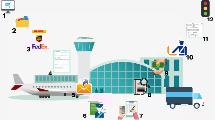 Customs Flow Chart by Ximena González L on Prezi