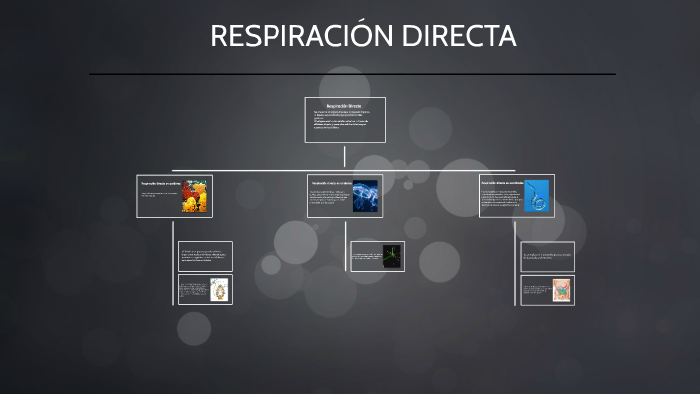 RESPIRACIÓN DIRECTA by Sebastian Escobar Marin on Prezi