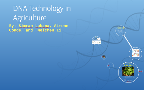 DNA Technology in Agriculture by Simone Conde on Prezi
