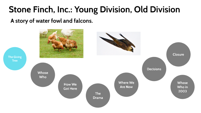 Stone Finch Case Presentation by Jerome Smith on Prezi