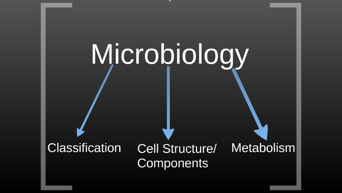 Environmental Microbiology Concept Map by Varun Srinivasan on Prezi