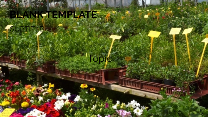 LAS PLANTAS by Brigette Martinez on Prezi