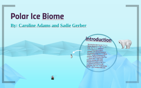 Polar Ice Biome by Coco Adams on Prezi