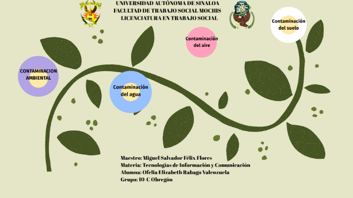 Ofelia Elizabeth Rabago Valenzuela (CONTAMINACION AMBIENTAL) by ...