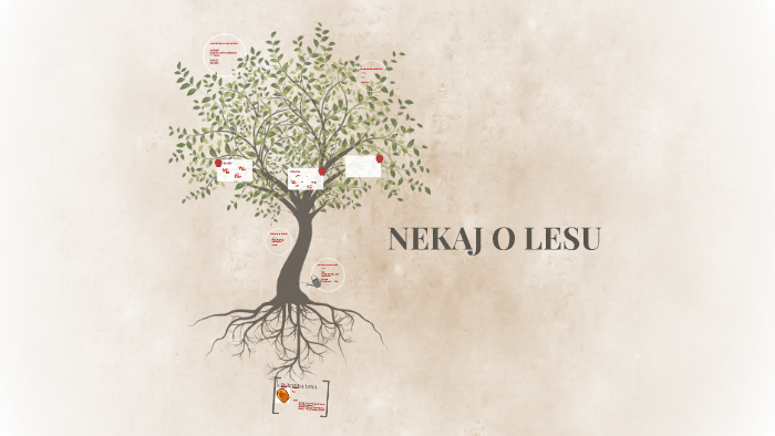 VRSTE LESA by Barbara Vesel on Prezi