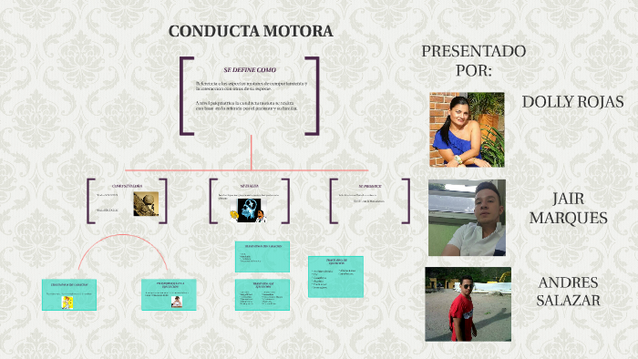 CONDUCTA MOTORA by Andres Felipe Salazar on Prezi