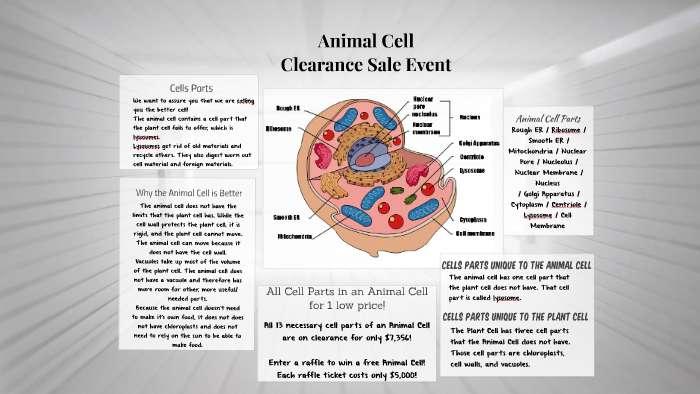 Animal Cell Presentation by HunterCivilianPlays on Prezi